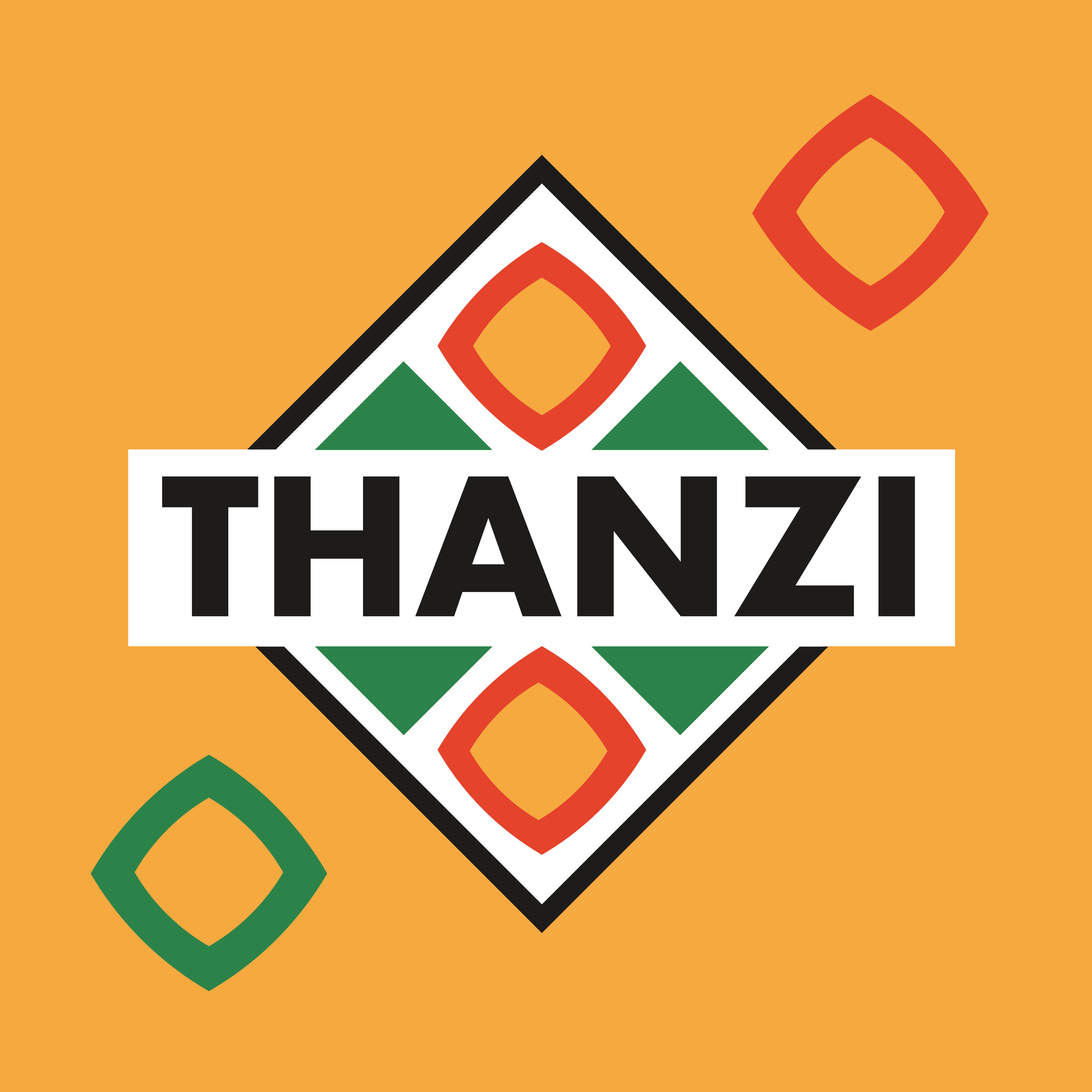 A new Thanzi logo & redesigned website: what’s changed, and why ...